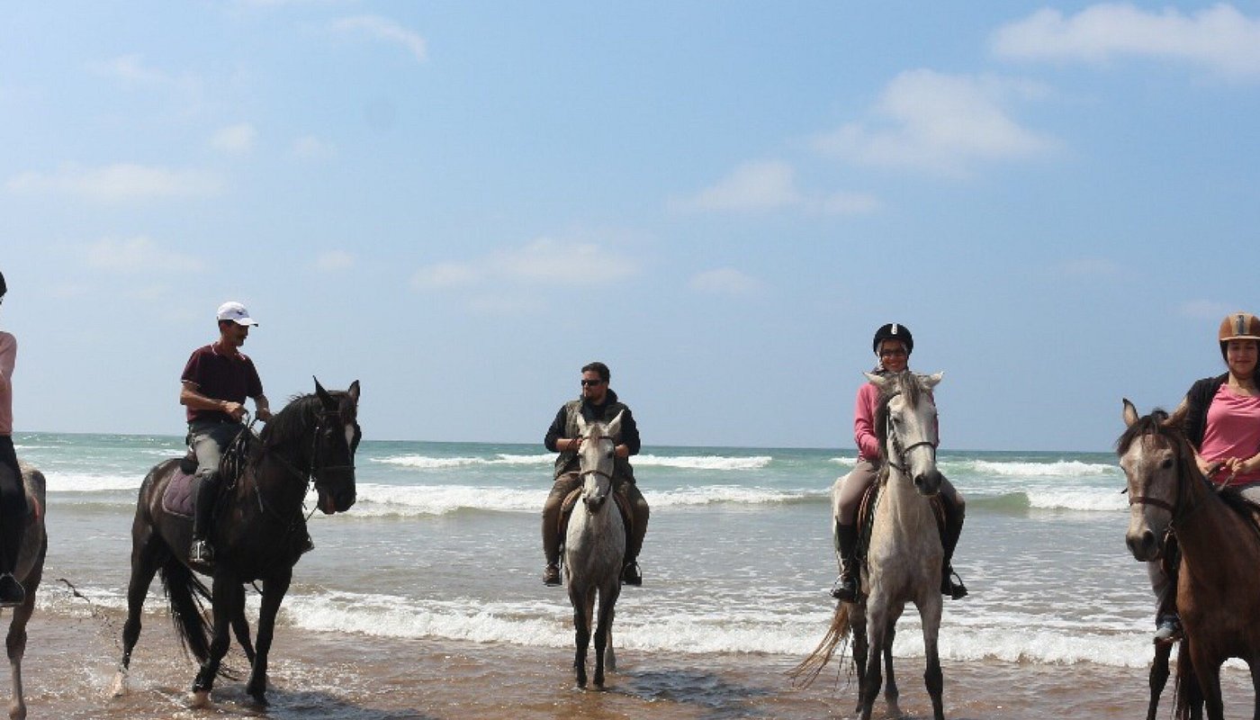 Beach Horseback Riding with Hotel Transfers - Rimo Tours